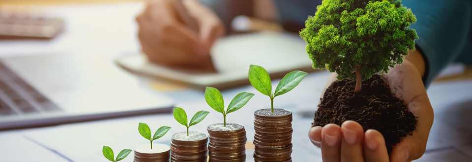 Comment réussir la transition écologique de son entreprise ? - Fondation d'entreprise MMA des ...